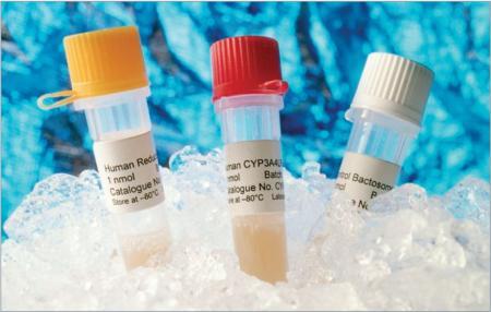 XenoTech | 生命科学用試薬 | キシダ化学株式会社